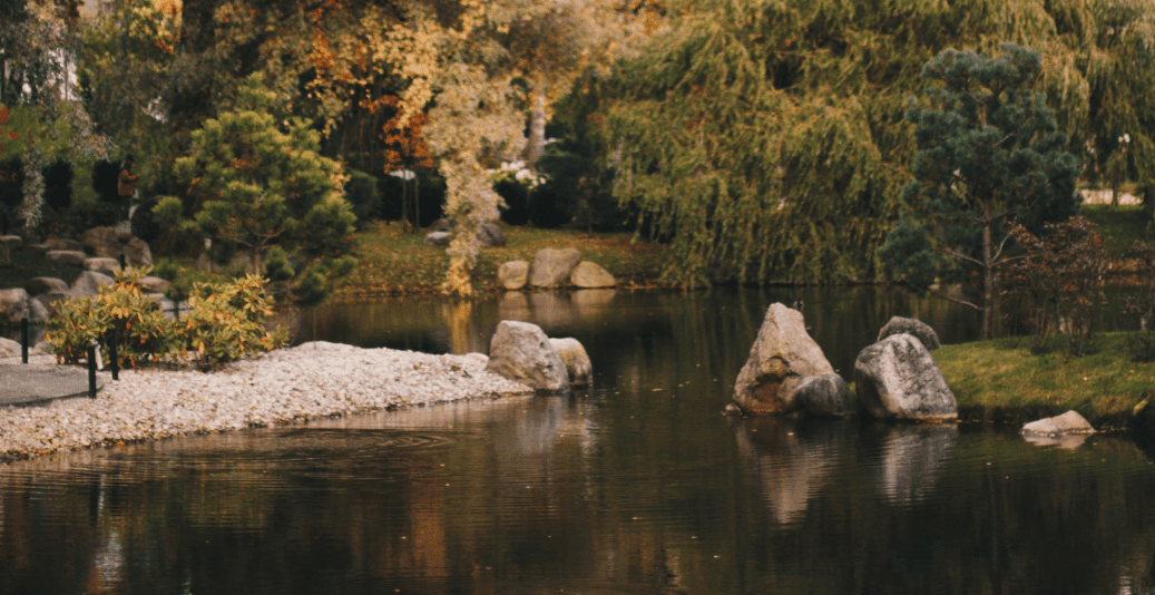 Why Parks Are Important to Your Community